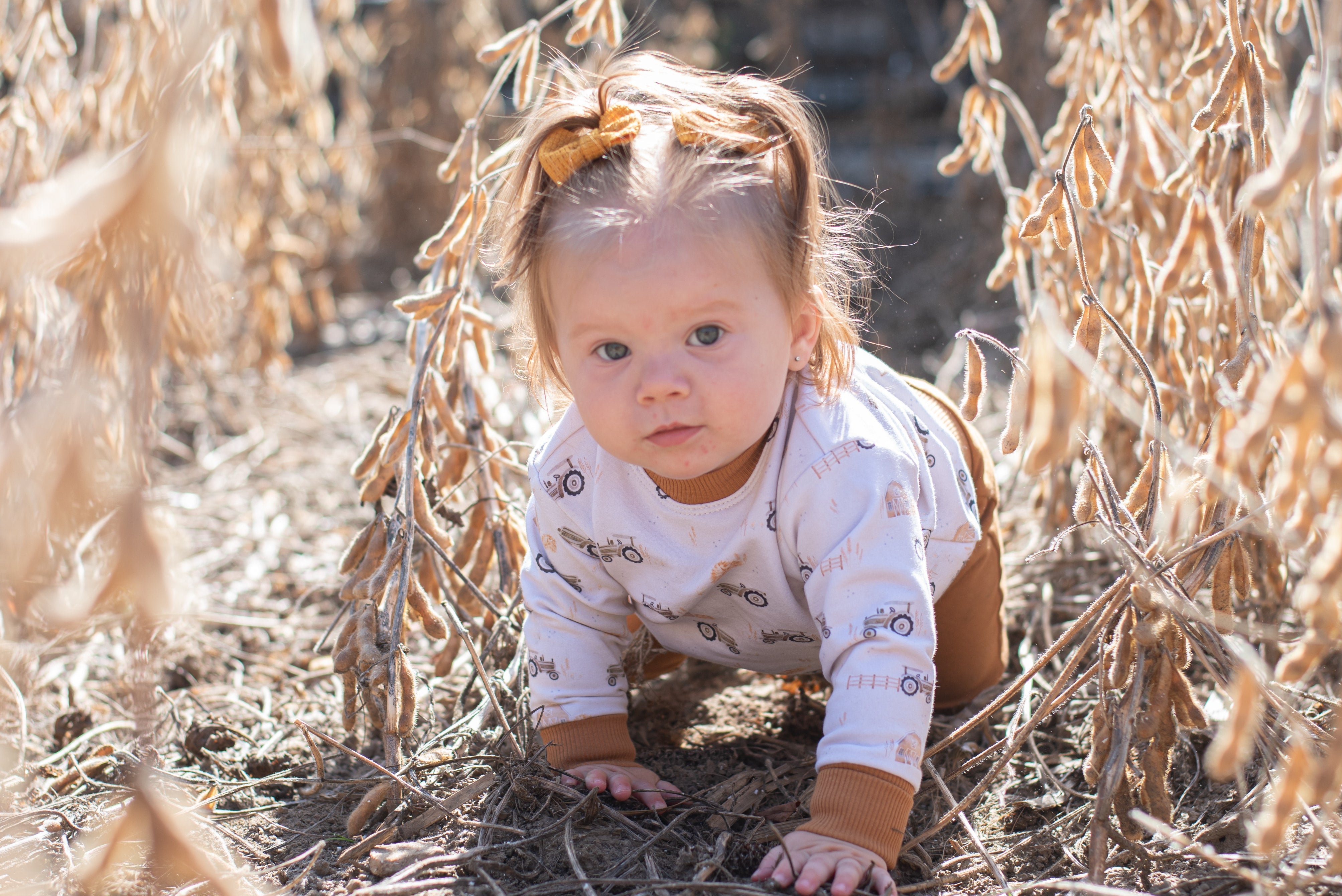 The Baby Collection – Wheat & Wildflower Handmade